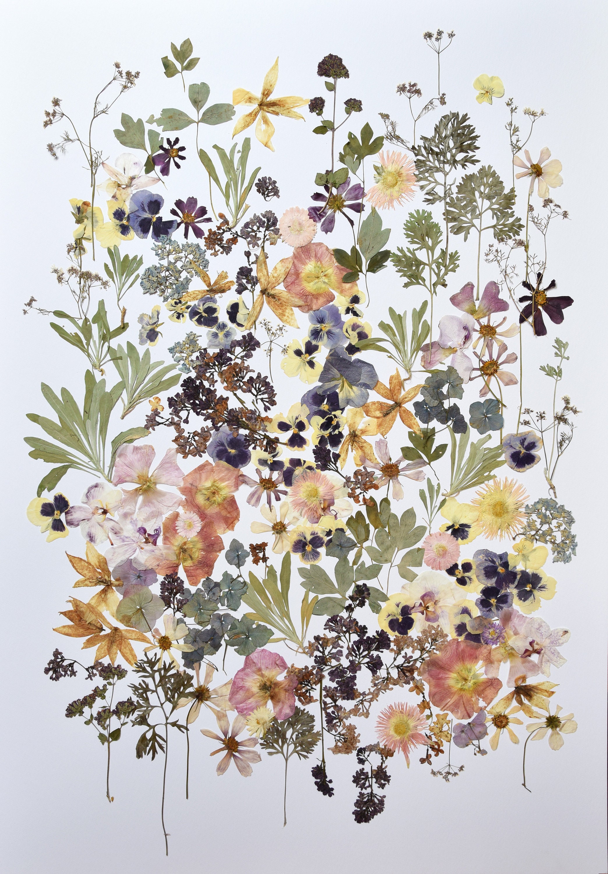 Large Pressed Flower Art: Original Botanical Collage (27.6x39.4 Inches ...