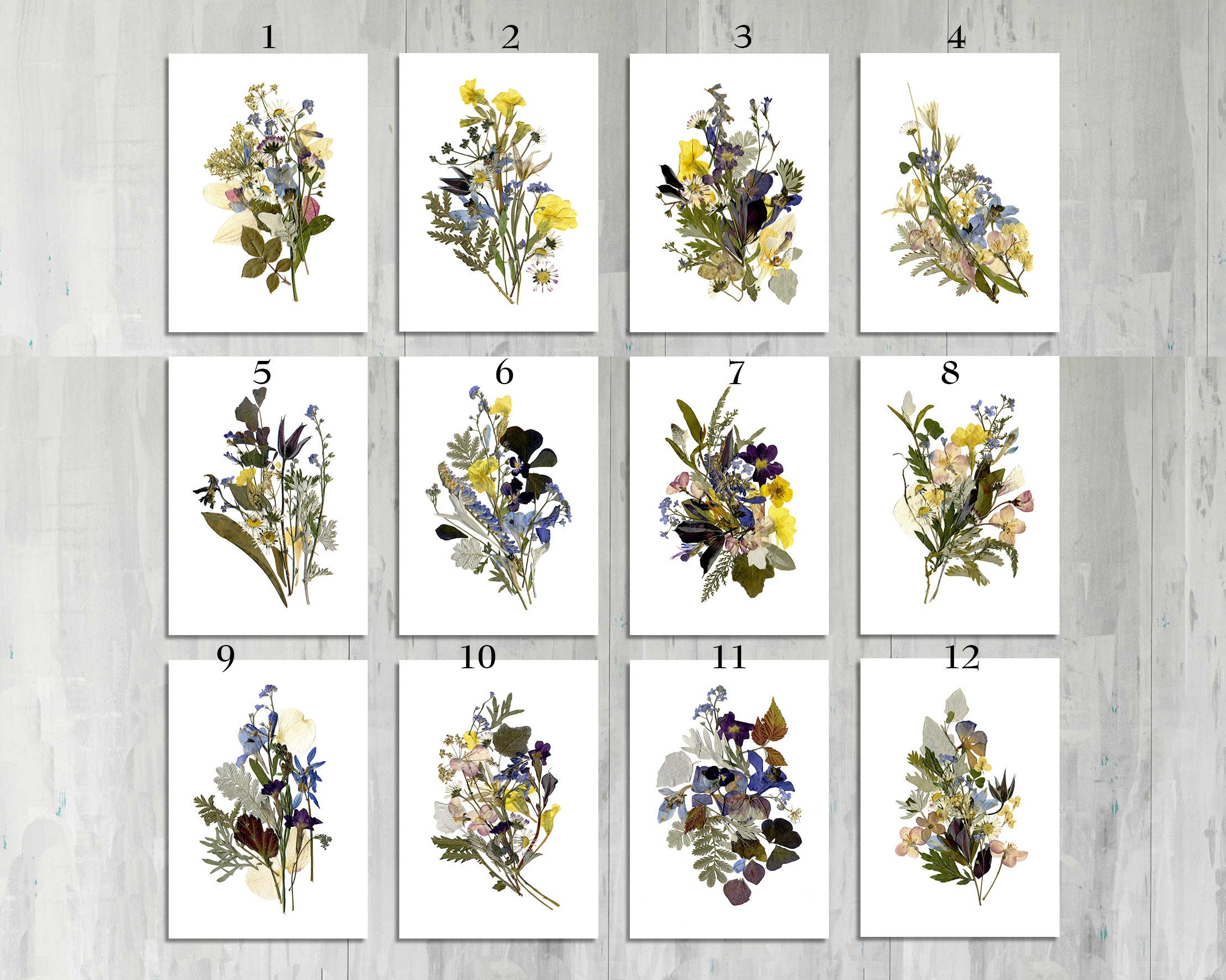 Print Botanical print 5''x7'' flower prints | Etsy