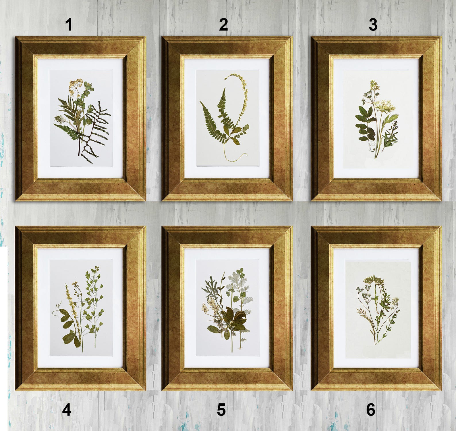Set of 6 Framed Botanical Prints Flowers Prints Pressed Flowers Art ...