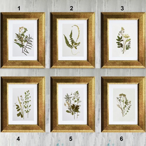 Set of 6 Framed Botanical Prints Flowers Prints Pressed - Etsy
