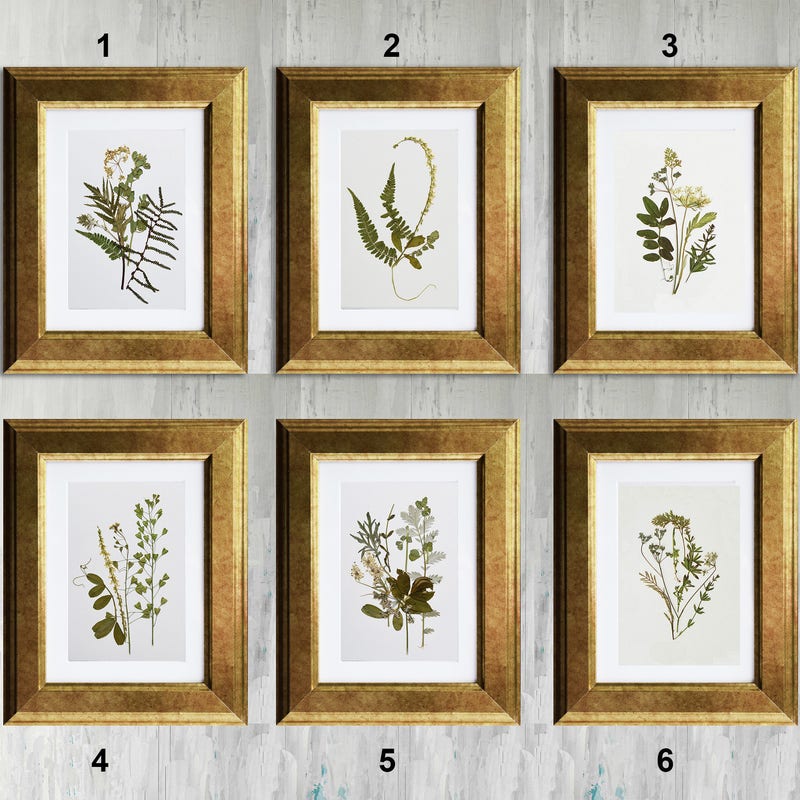 Framed Botanical Prints - Etsy