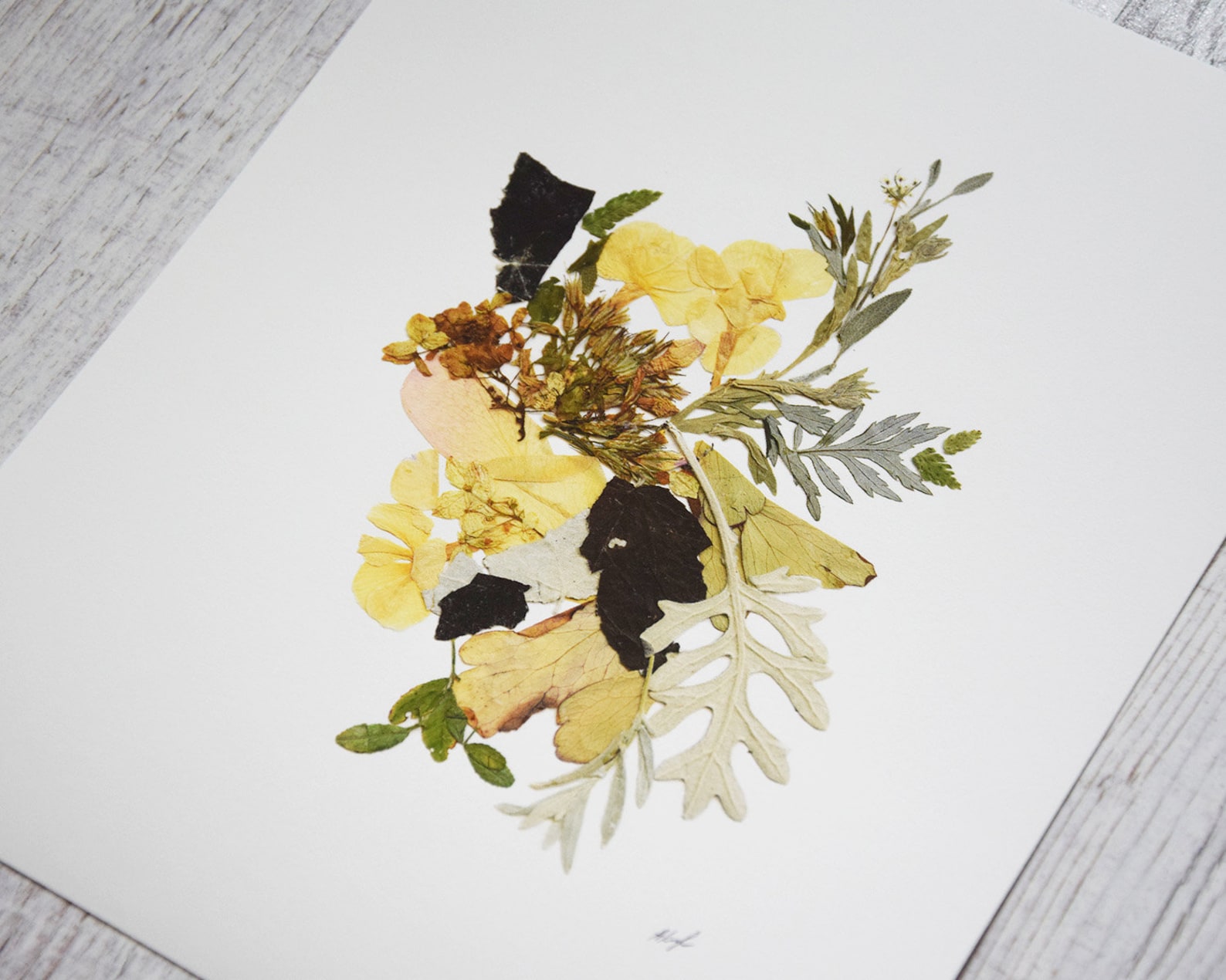 Pressed Flowers Print Set Botanical Wall Art Set Herbarium - Etsy