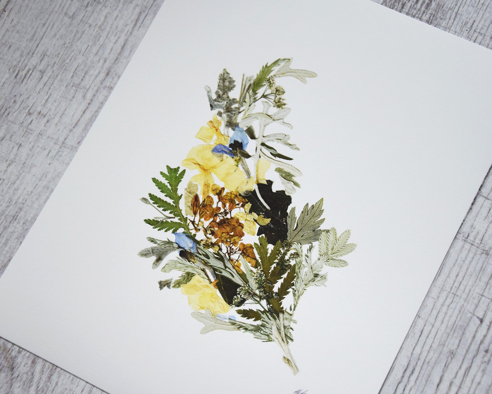 Pressed Flowers Print Set Botanical Wall Art Set Herbarium - Etsy