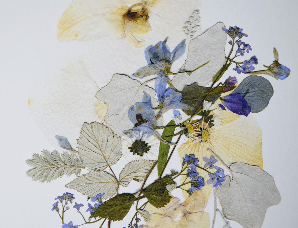 Pressed flower prints Set of 2 prints Contemporary art Dry | Etsy
