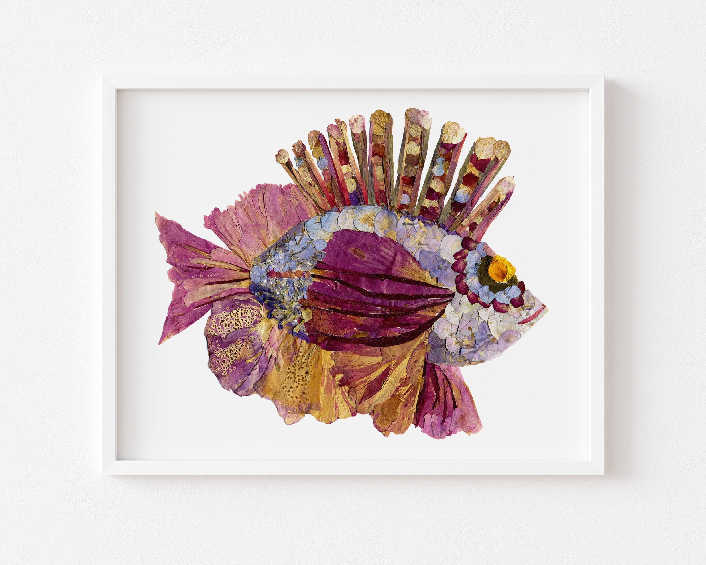 Dried Fish Drawing
