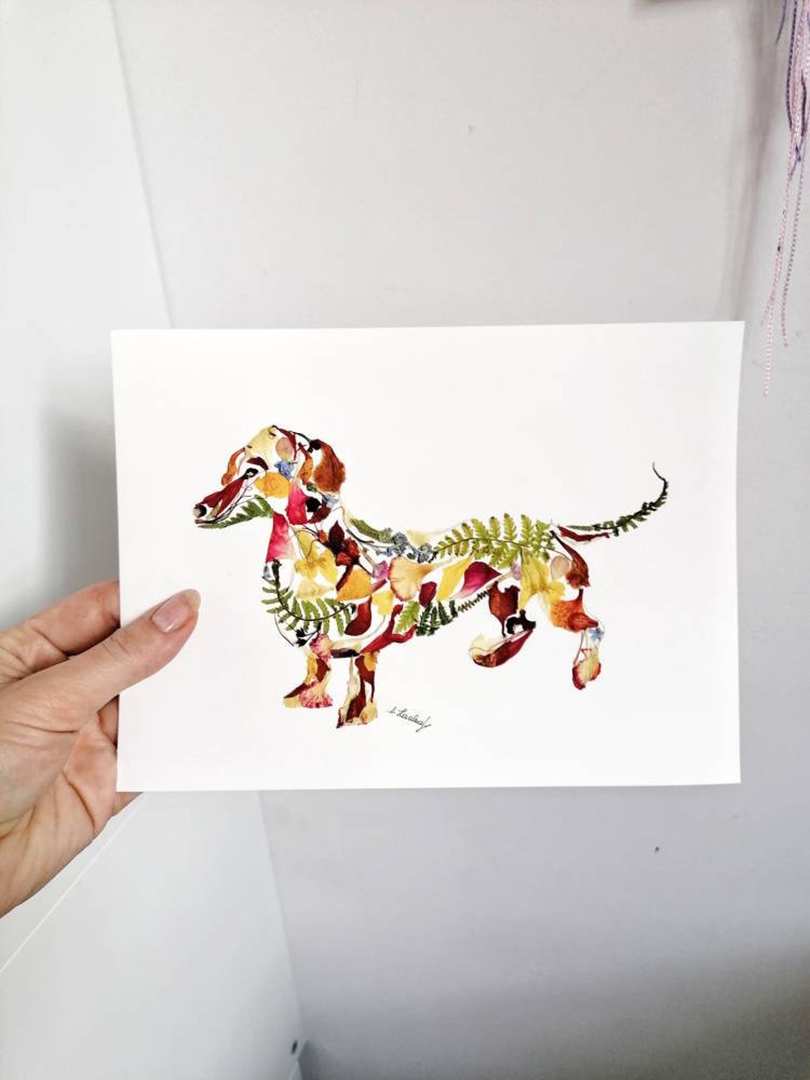Dog Wall Art Print Teckel Print Pressed Flower Art Floral - Etsy