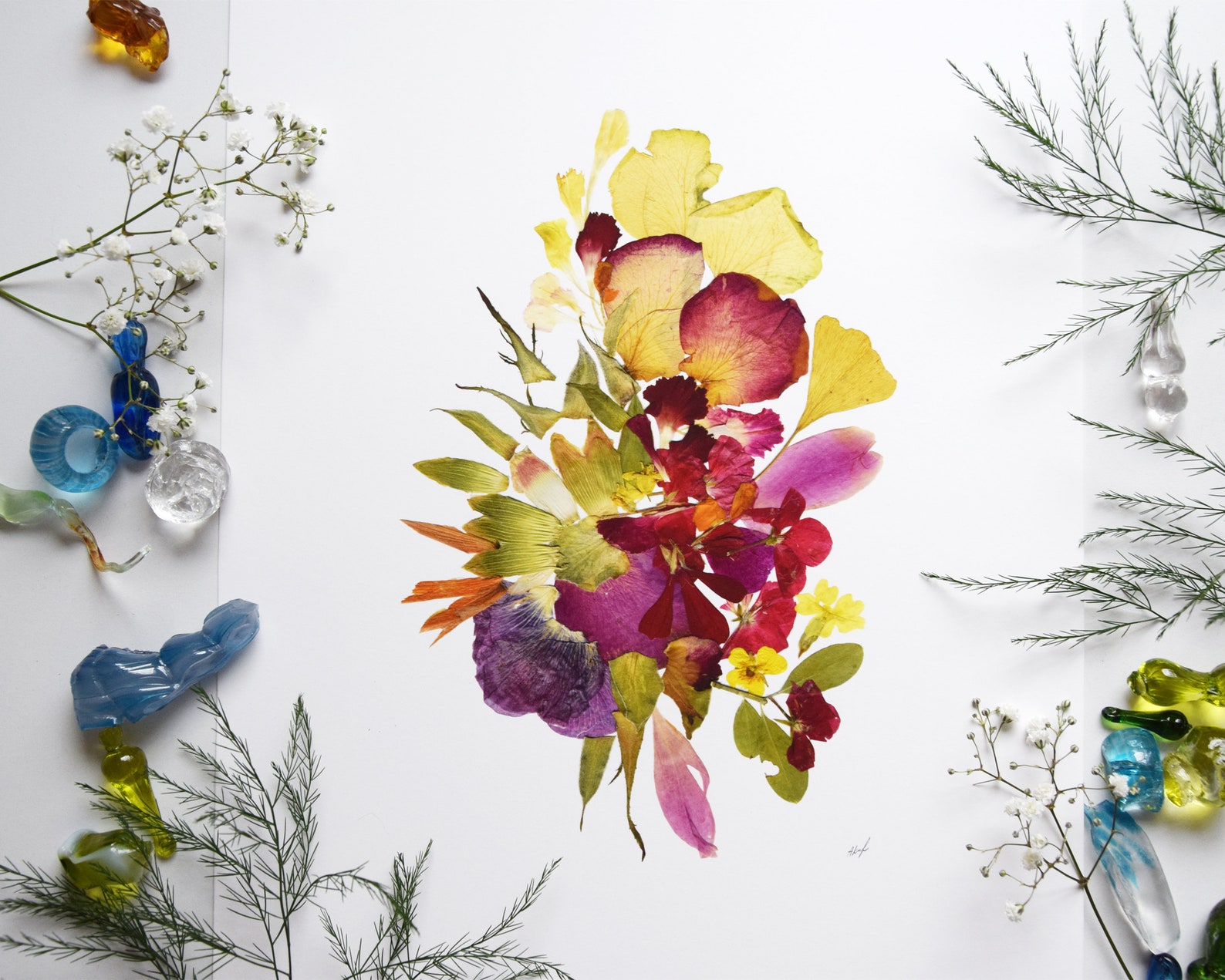 Set of Pressed Flowers Prints 11x14 Botanicals Prints Herbarium Pressed ...