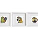 Animal Print Parrot Painting Print Pressed Flowers Bird Prints Flower ...
