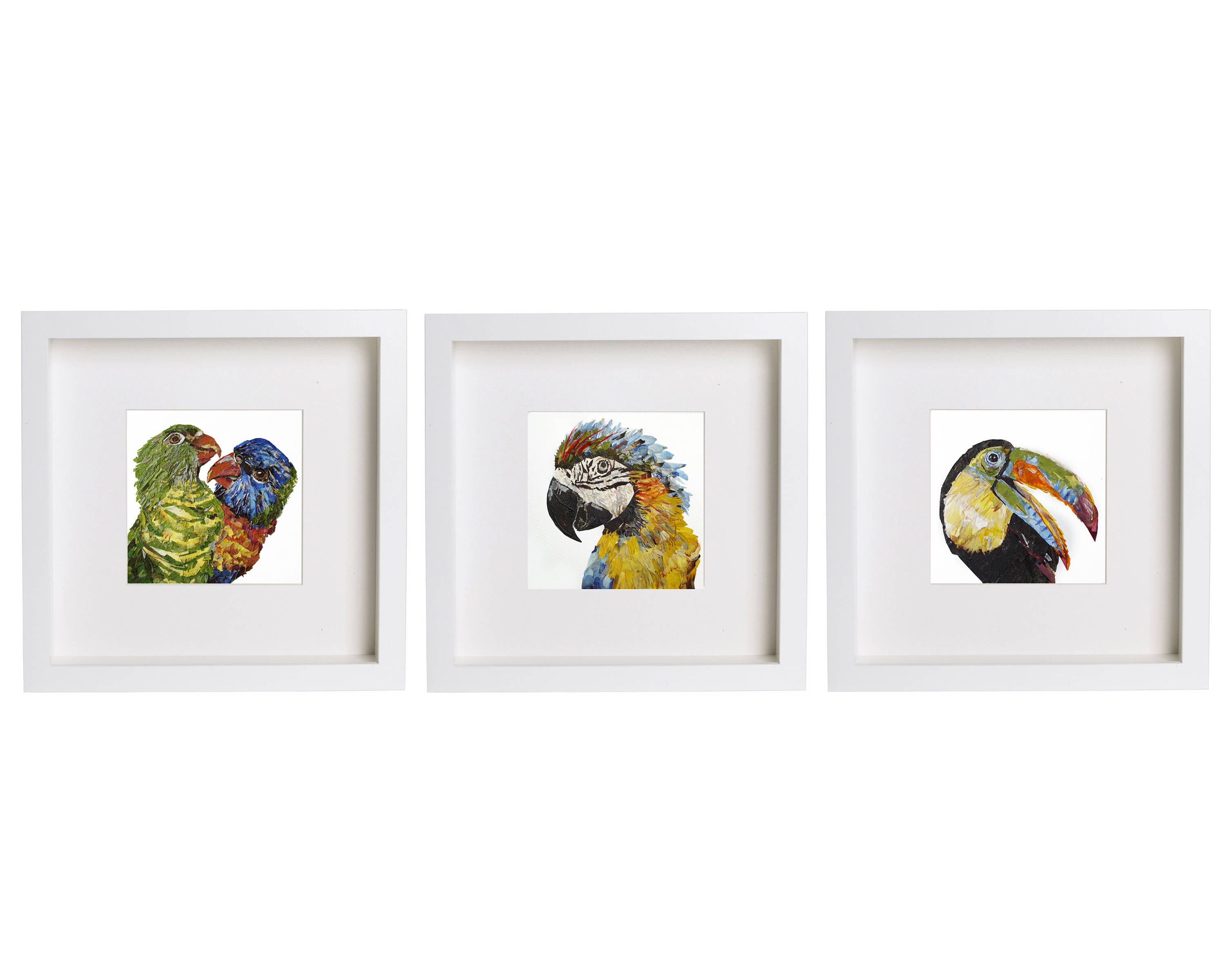 Animal Print Parrot Painting Print Pressed Flowers Bird Prints Flower ...