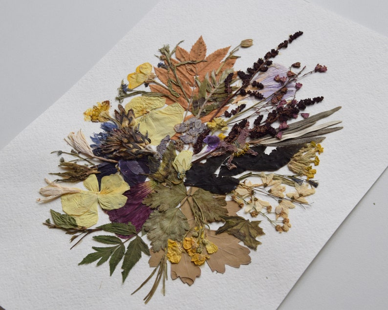 Dried Flower Art Pressed Flower Art Flower Wall Art Decor - Etsy