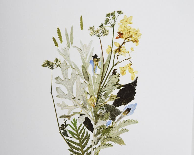 Botanical Print Plant Art Pressed Leaves Art Botanical Illustration ...