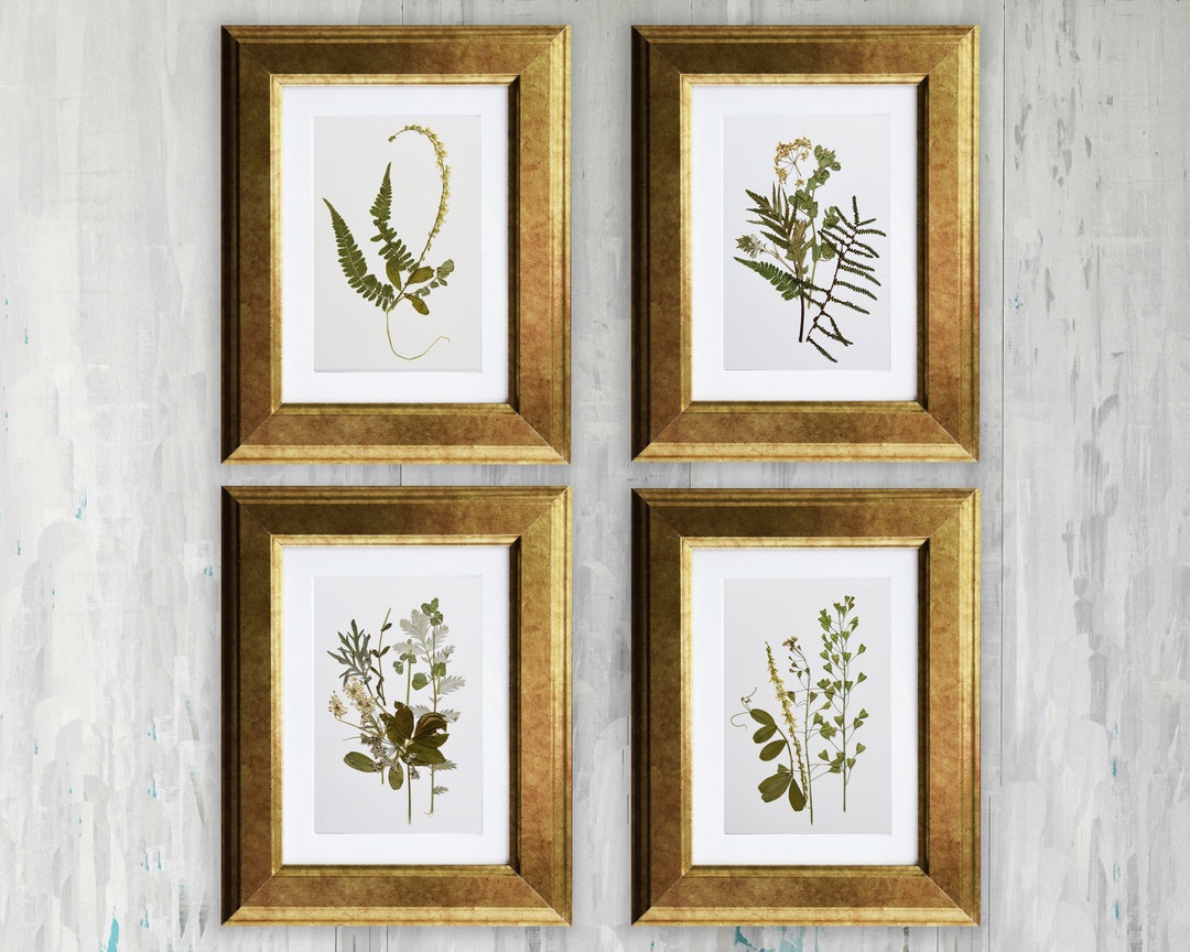 Set of 4 Framed Botanical Prints Flowers Prints Pressed Flowers Art ...
