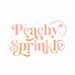 Peach Retro Font Logo Instant Download, Colorful Bright Logo Design ...