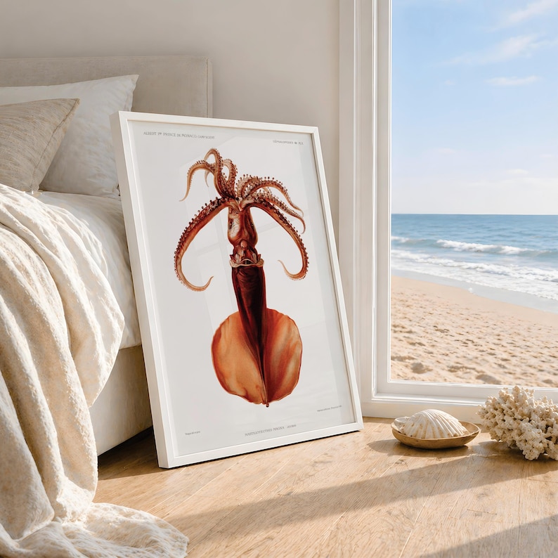 Vintage Squid Art Scientific Poster: Mastigoteuthis Magna Illustration ...