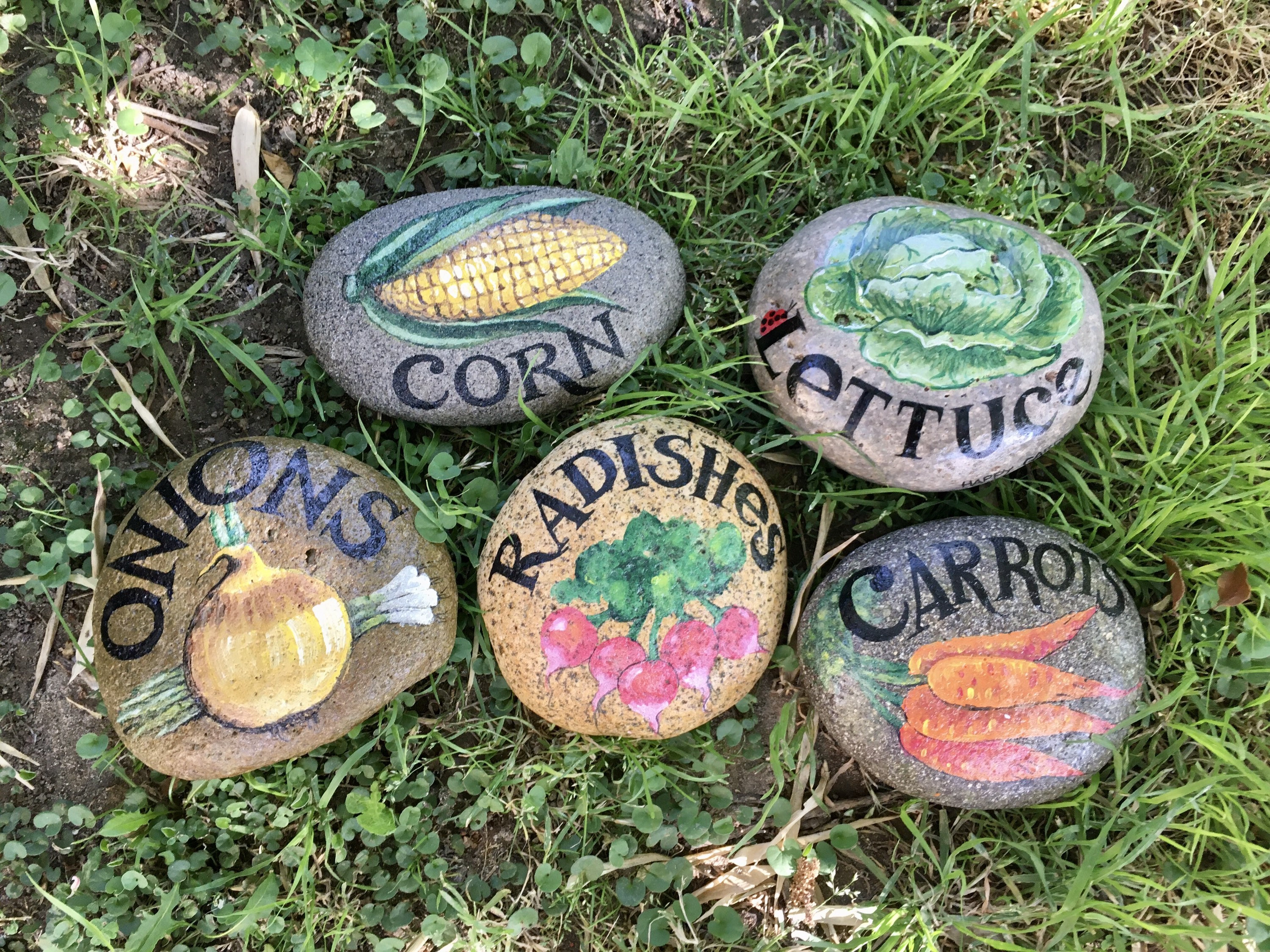 Garden Markers Painted on the Rocks. Any Plants, Veggies. Gift. Price ...