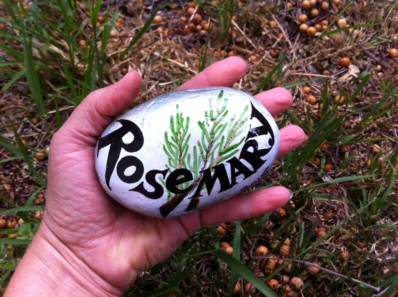 Herb Garden Markers Painted on the Rocks. Super Happy - Etsy