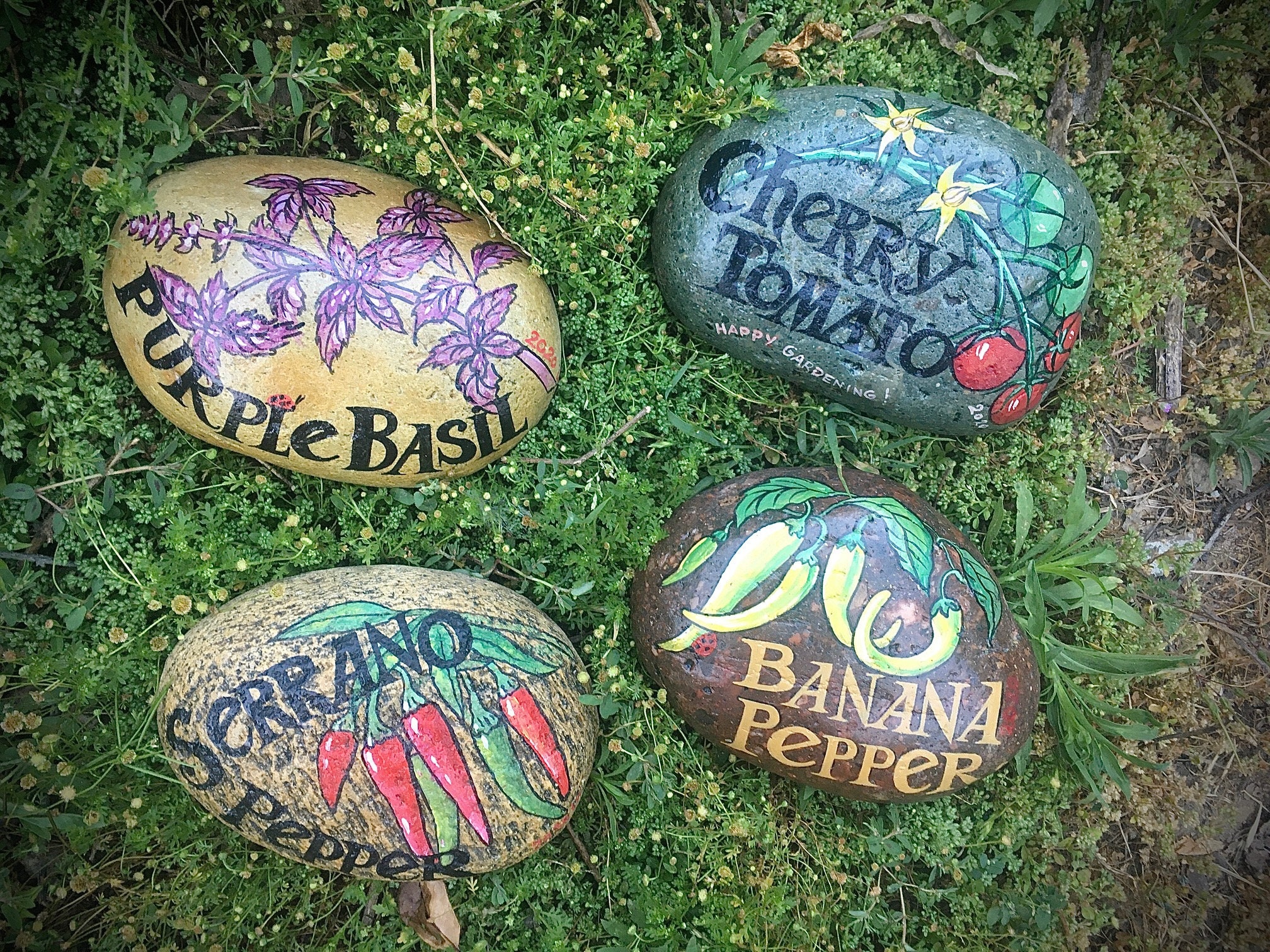 Garden Markers Painted on the Rocks. Fruit and Veggies. Gift. - Etsy Canada