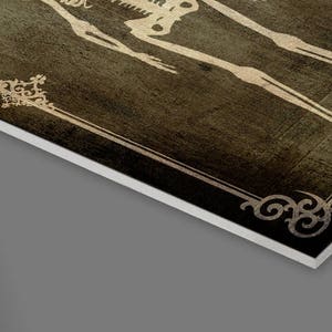 Gothic Door Signs,set of 2 Signs,ladies and Gents Signs,skull Signs ...