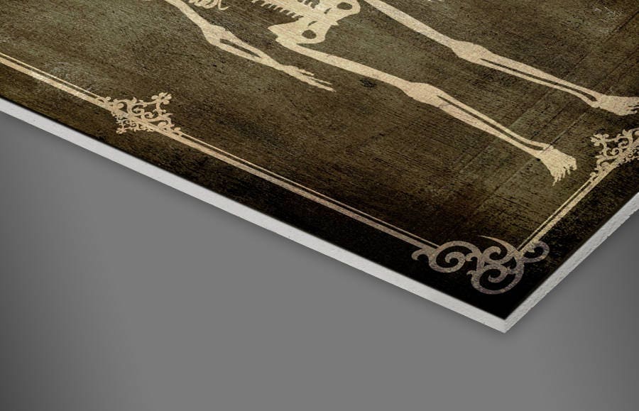 Gothic door signsSet of 2 signsladies and gents signsskull | Etsy