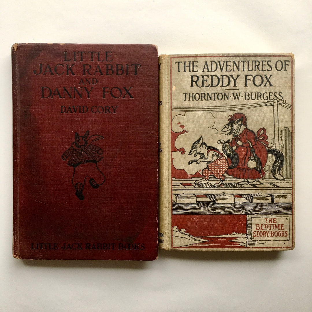 The Adventures of Reddy Fox & Little Jack Rabbit and Danny Fox - Etsy