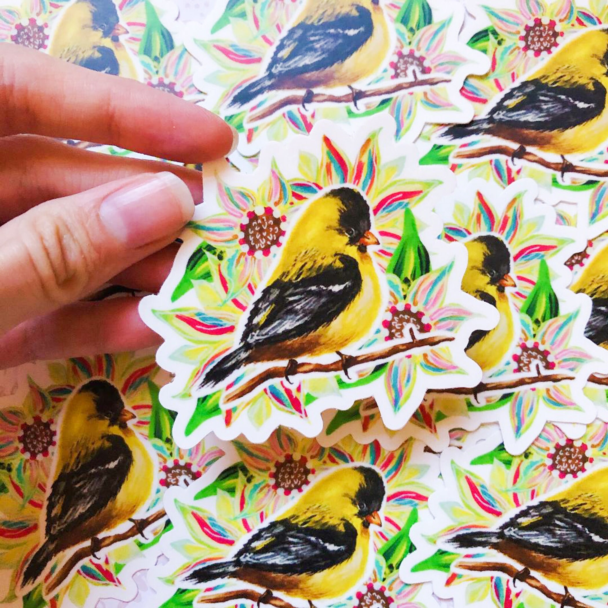 Goldfinch Floral Vinyl Sticker Bird Sticker Goldfinch | Etsy