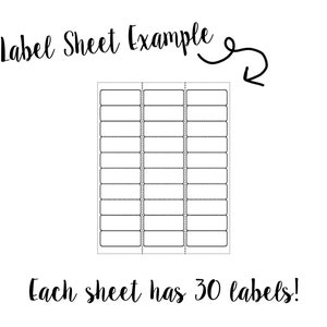 Kids Lion Address Labels Boys Address Labels Lion Return - Etsy