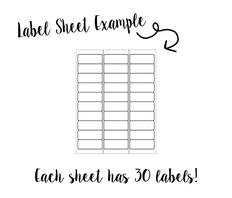 Kids Lion Address Labels Boys Address Labels Lion Return | Etsy