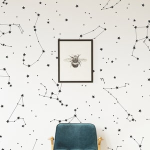 Constellation Stickers, Constellation Decals, Astronomy Wall Art ...