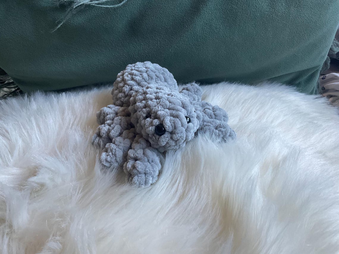 PDF Spider Crochet Pattern - Etsy Canada