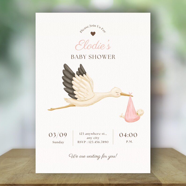 Baby Shower Bundle | Invitation Card | Books for Baby and Diaper Raffle ...