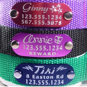 Silent / Quiet Rivet Pet ID Tag - No More Jingling, Attaches Directly ...