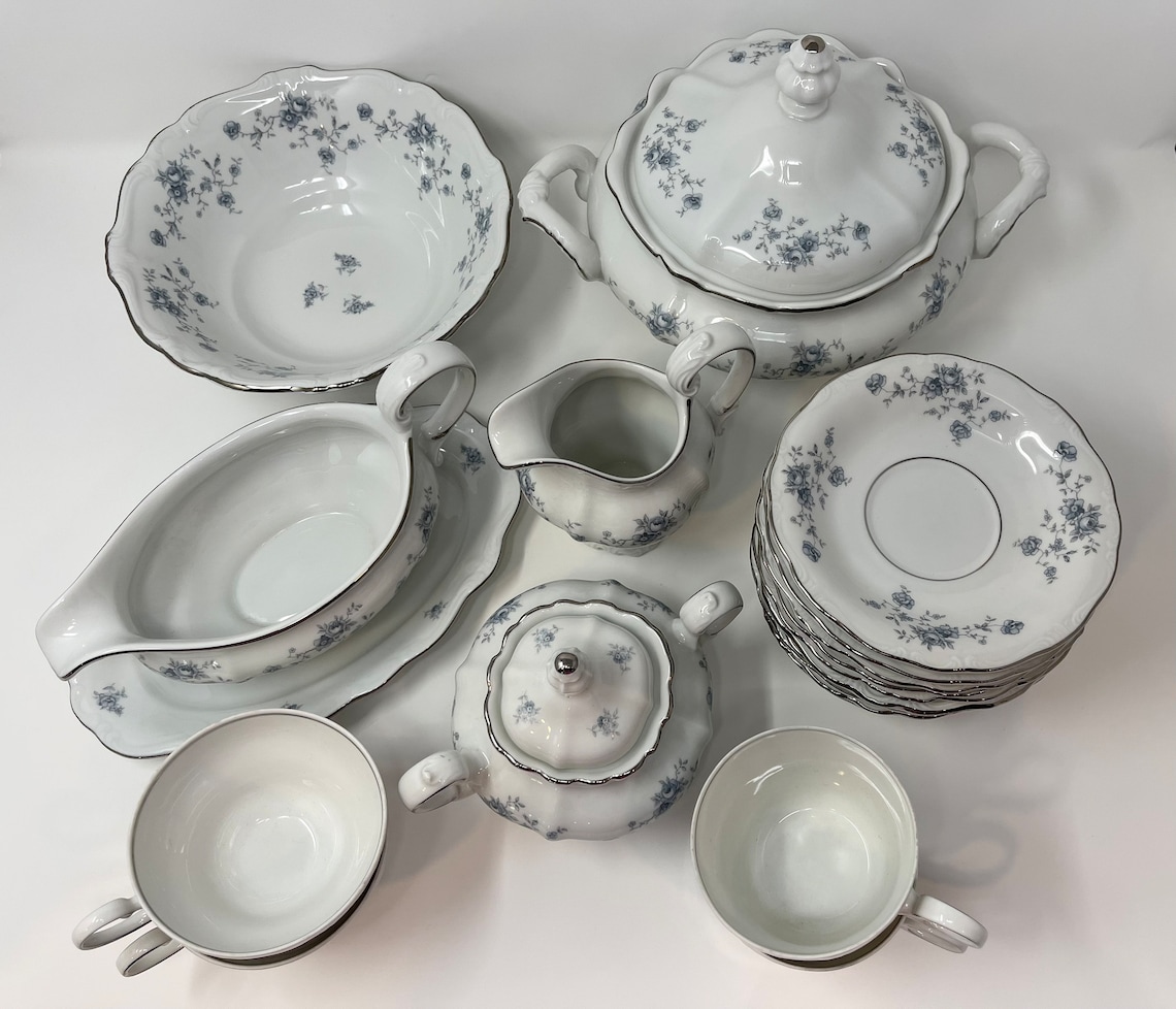 Antique Porcelain Dinnerware Set From JOHANN HAVILAND , Bavaria Germany ...