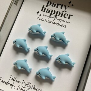 Dolphin Magnets + Tin | Glitter Magnets | Fridge Magnet | Kawaii ...