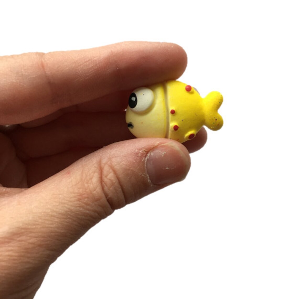 Fish Magnets Tin Rainbow Fish Magnets Fridge Magnets - Etsy