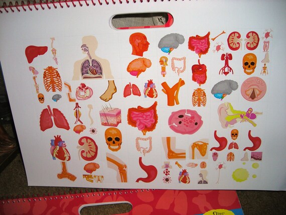 Body Parts For Sale / Posters Of Body Parts / Stickers Body | Etsy