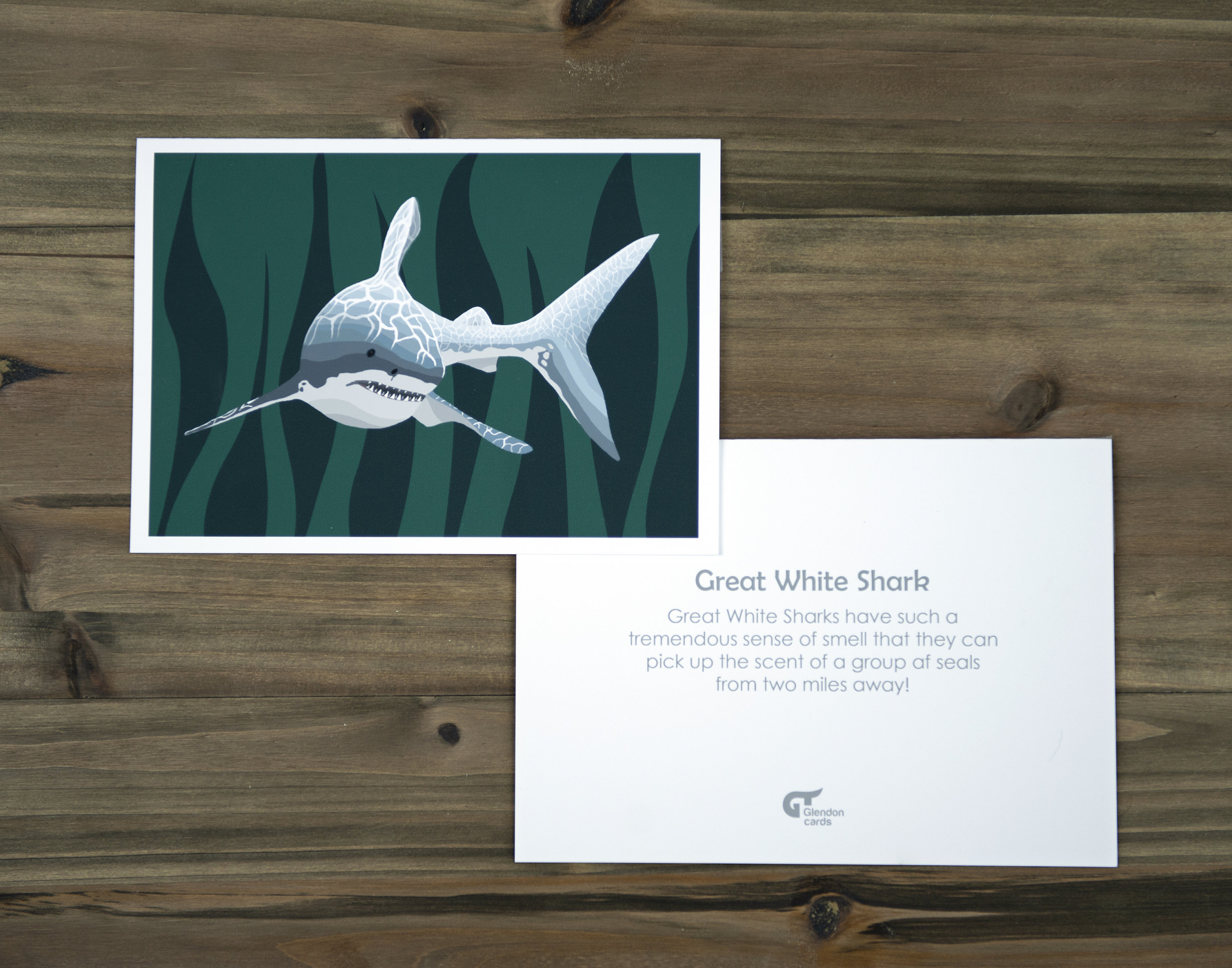 Nature Cards, Fish, Greeting Cards, Cards, 5x7 Cards, Kids Cards, Blank ...