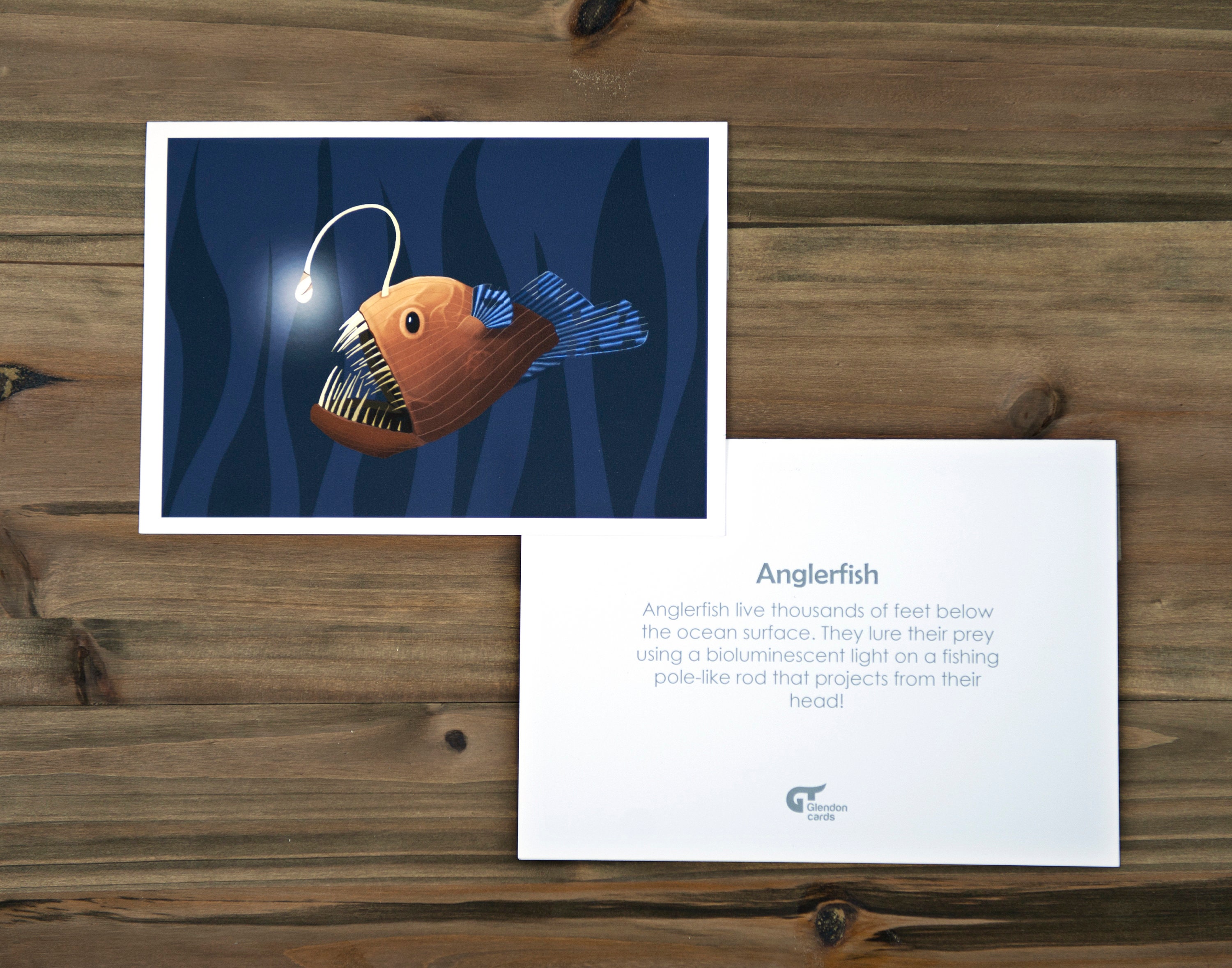 Nature Cards Fish Greeting Cards Cards 5x7 Cards Kids - Etsy
