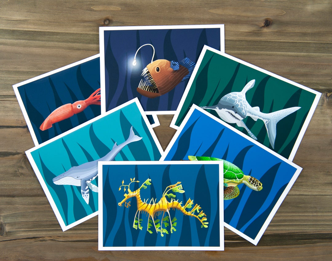 Nature Cards, Fish, Greeting Cards, Cards, 5x7 Cards, Kids Cards, Blank ...