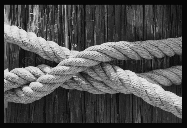 Nautical Beach Decor Rope Post Piling Knot Textures Abstract | Etsy