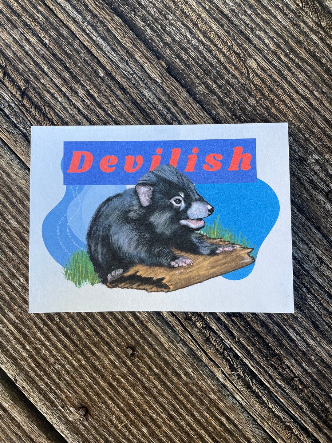 Tasmanian Devil, Pun Cards Wombats, Australian Animals, Aussie Animals ...