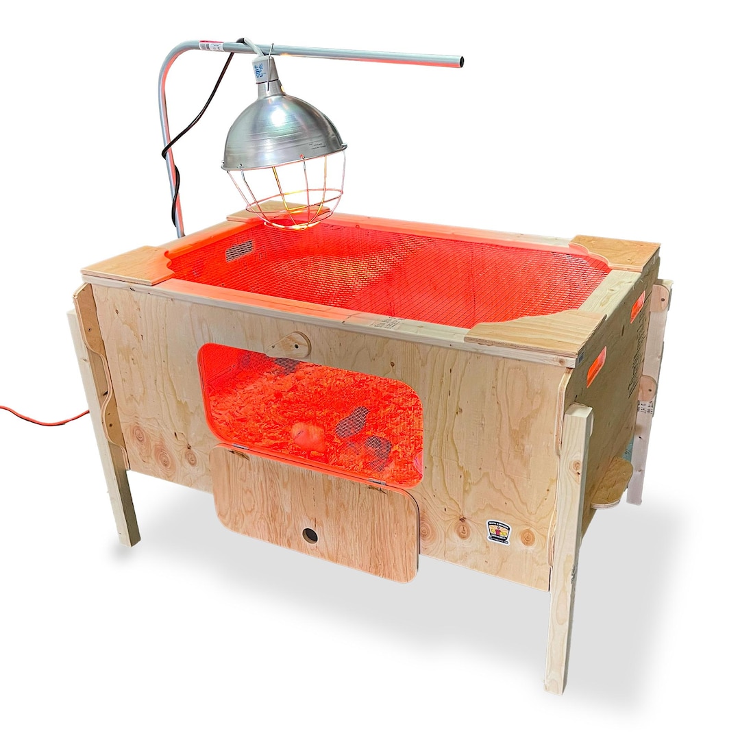 Ben's E-Z Brooder – Premium Wooden Poultry Brooder With Lifting Mesh ...