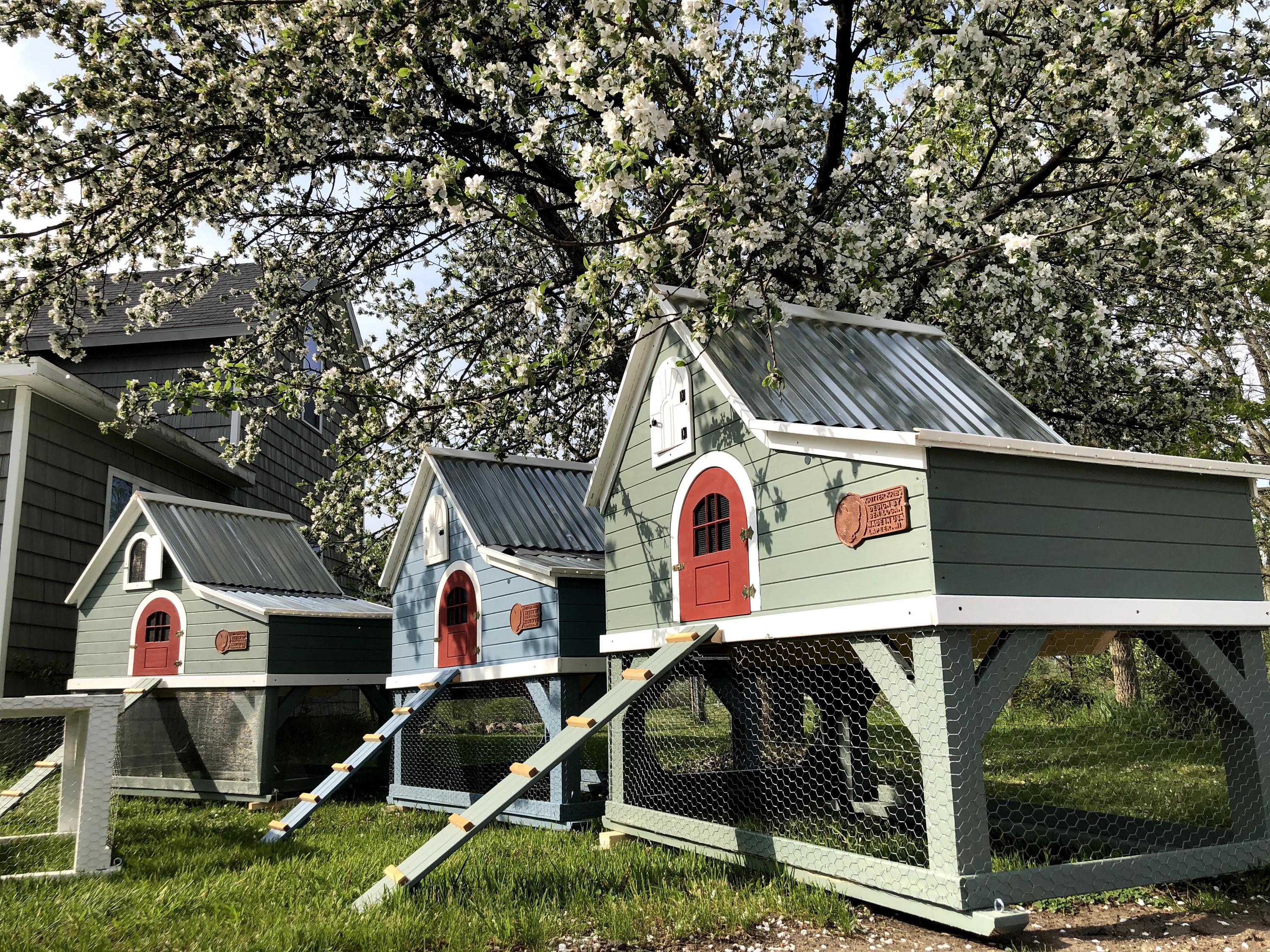 Carolina Chicken Coop 4x6 Coop With Enclosed Run Made in Michigan by ...