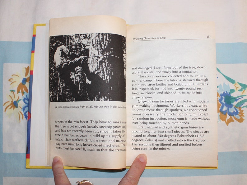 The Chewing Gum Book, 1990 Book - Etsy