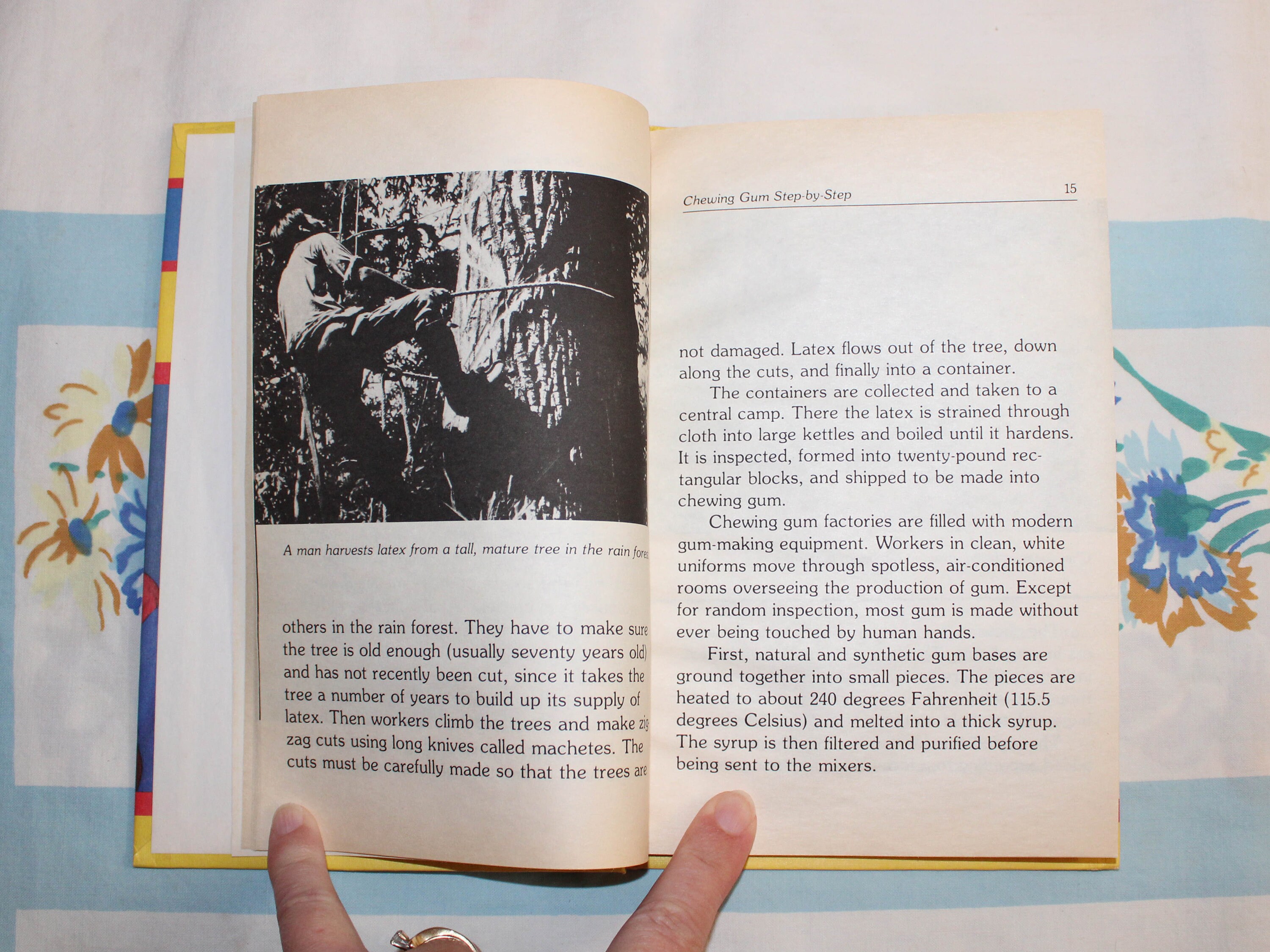 The Chewing Gum Book, 1990 Book - Etsy