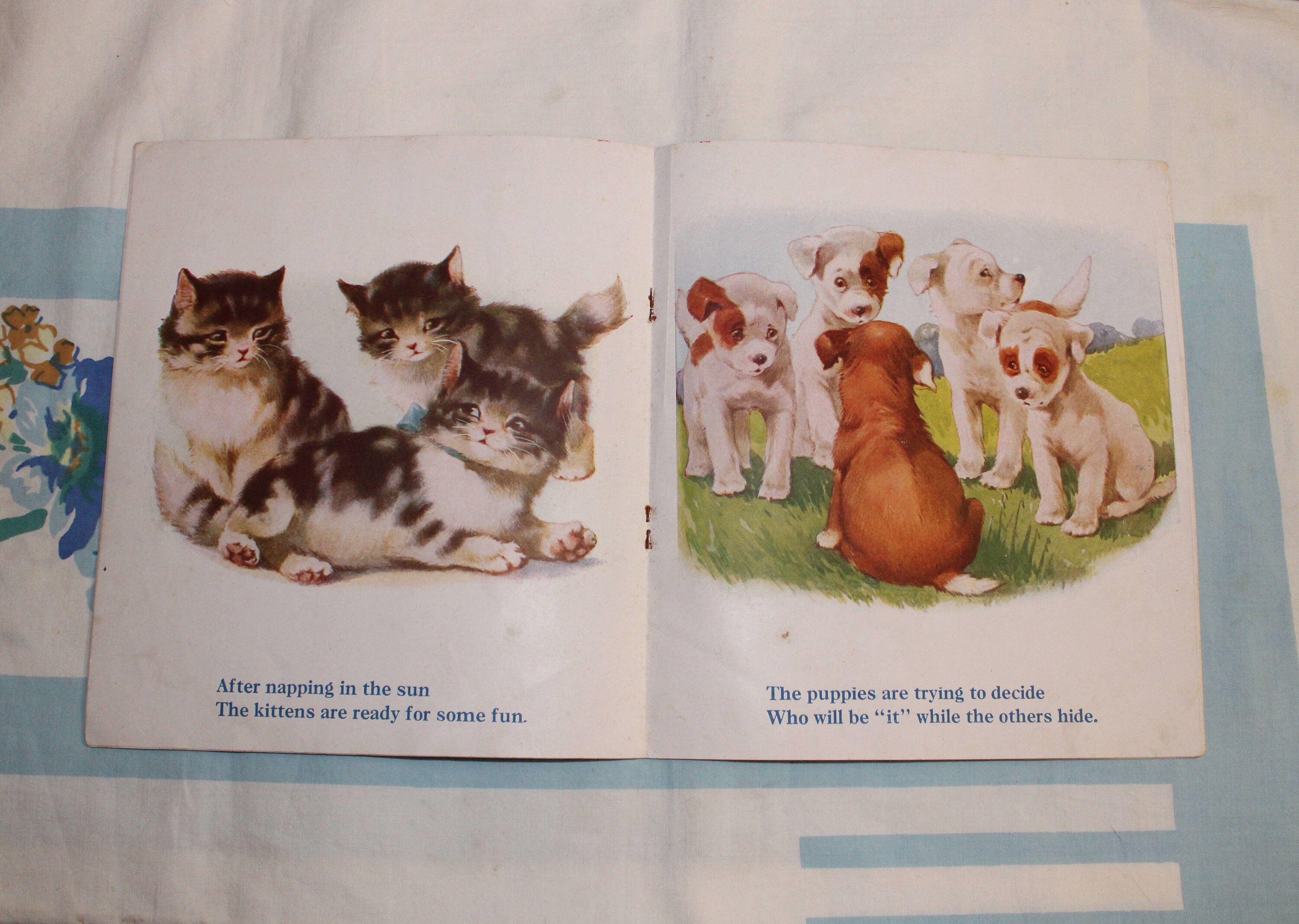 Piggies, Chickies, Puppies, Pups and Pussies, Animal Books, Set of 4 ...