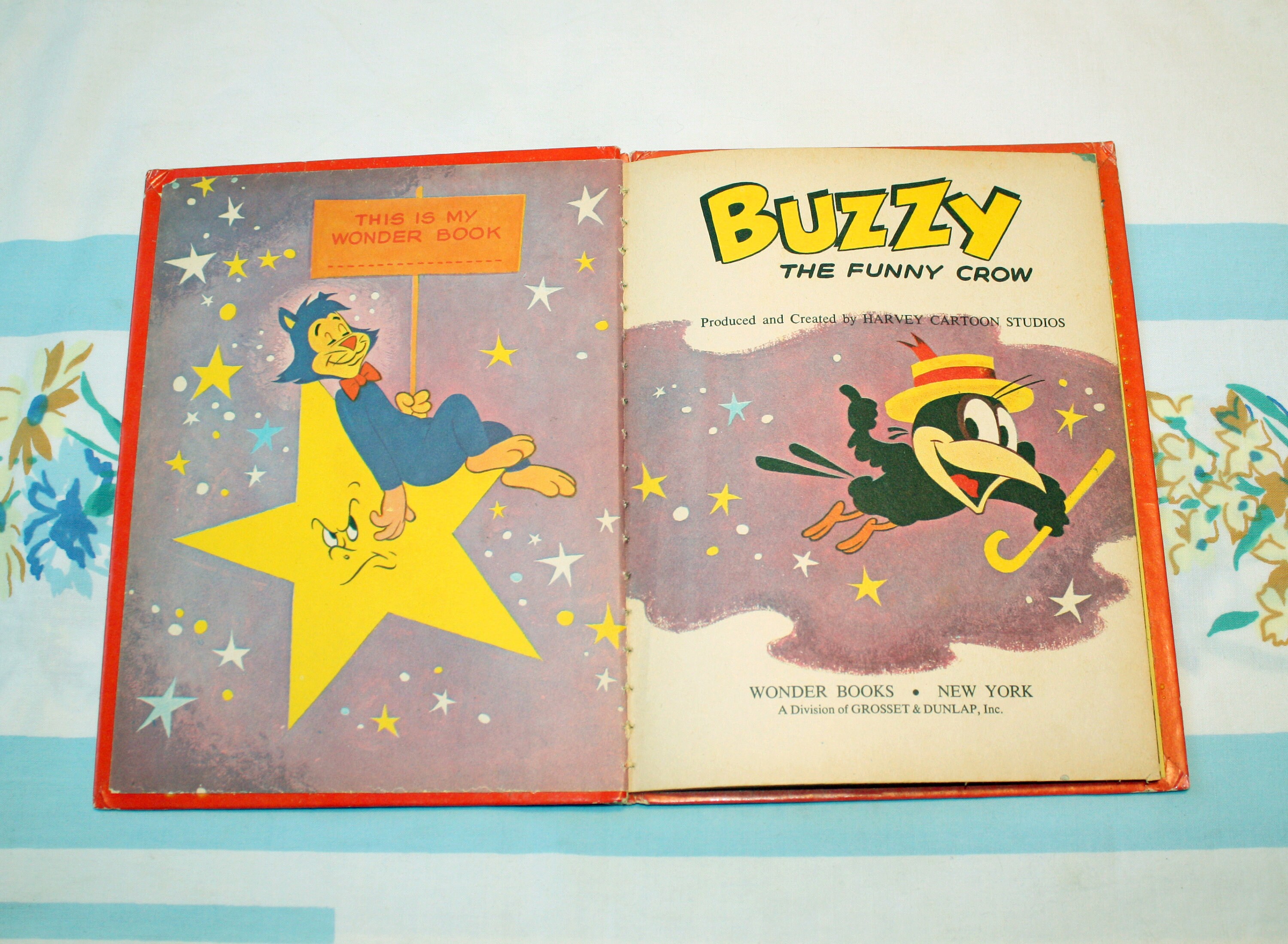 Buzzy the Funny Crow, 1963 Wonder Book - Etsy