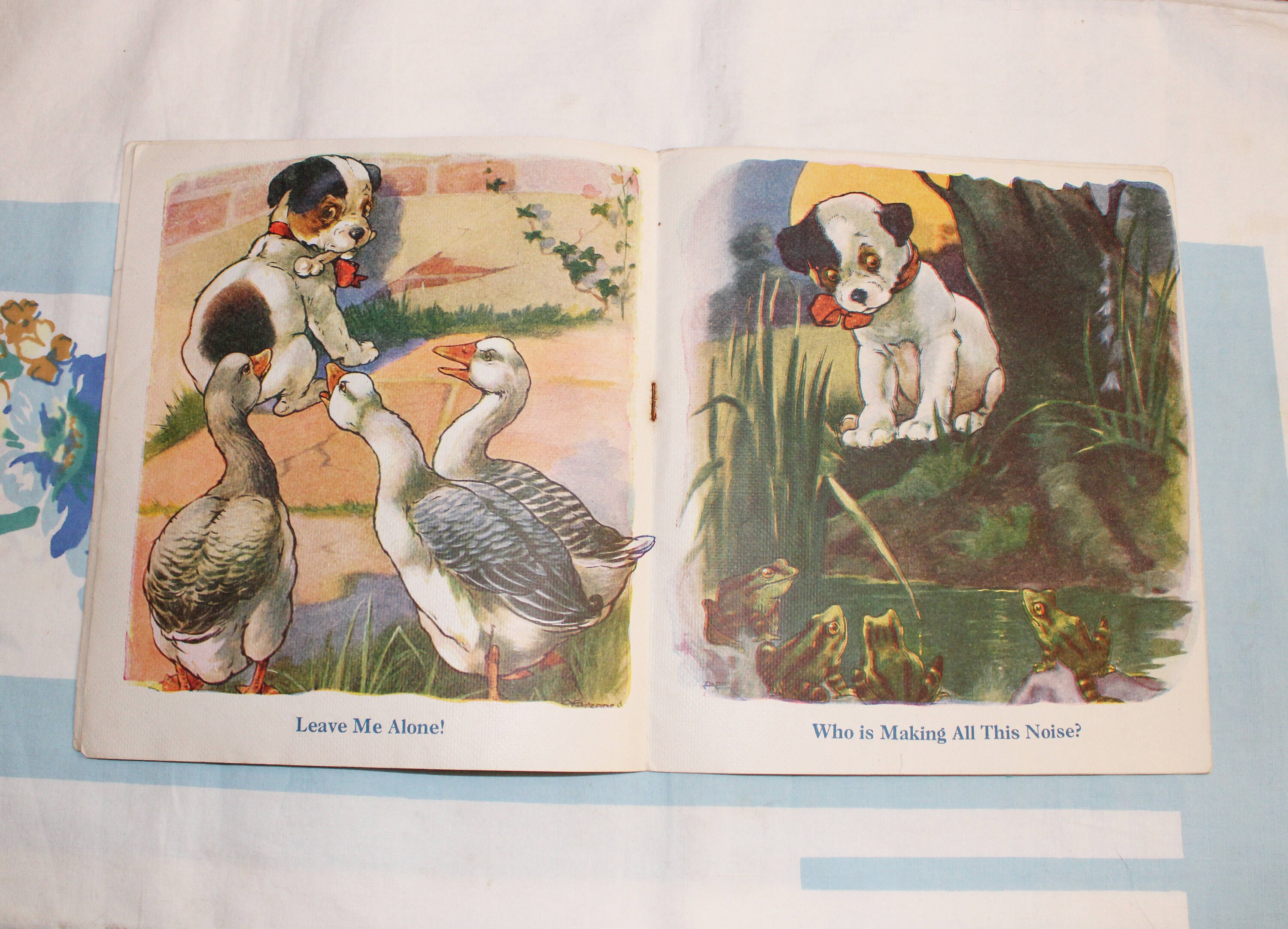 Piggies, Chickies, Puppies, Pups and Pussies, Animal Books, Set of 4 ...