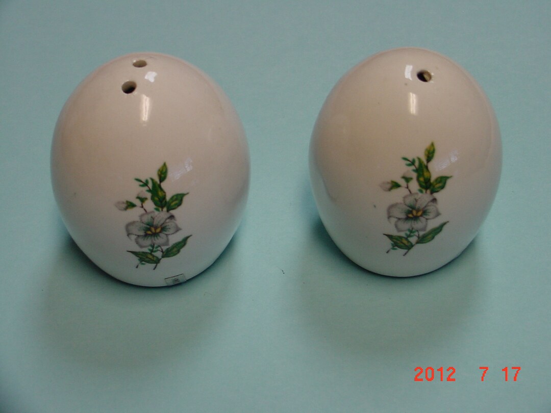 Vintage Flower Souvenir Salt & Pepper Shakers - Etsy