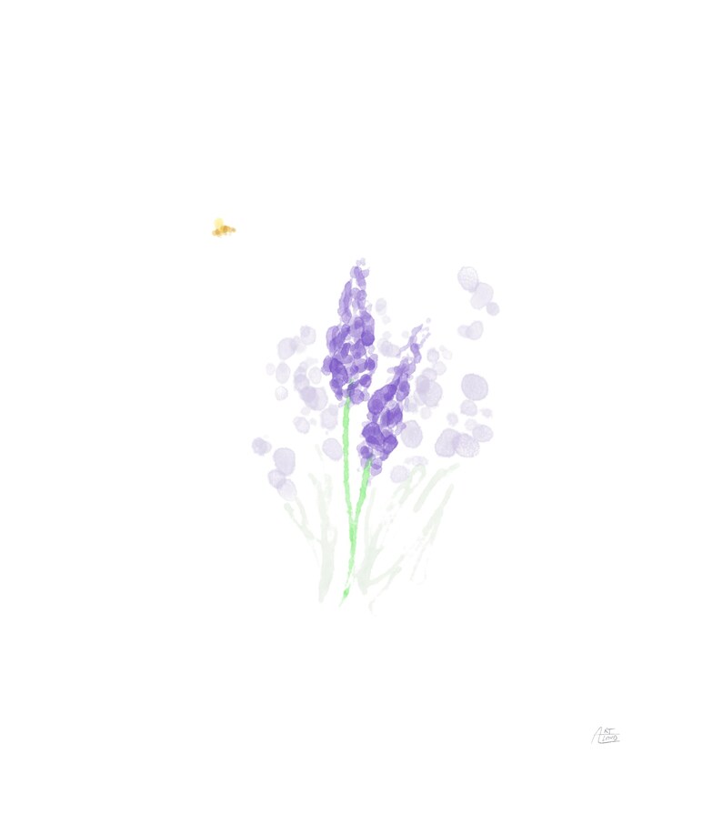 Lavender & Bee Digital Drawing With Transparent Background - Etsy