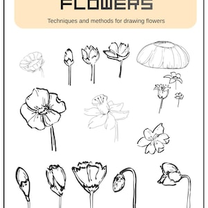 How To Draw Flowers Techniques And Methods Digital Book Etsy Uk